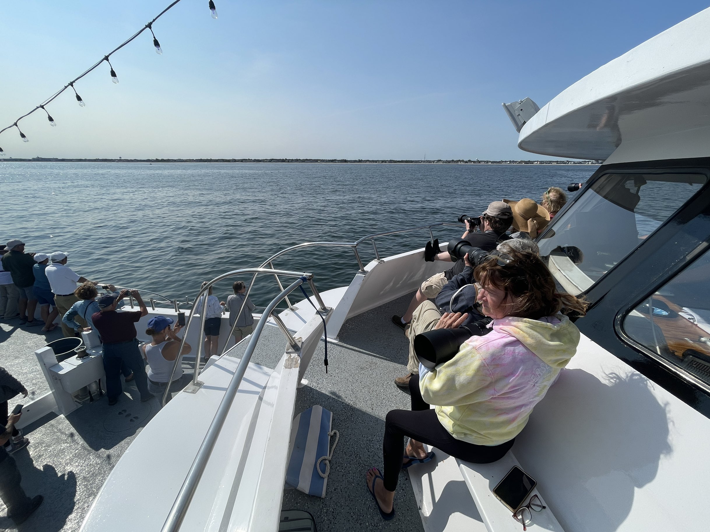 Friday September 16th 2022 2whales close to home or 3 - Bill McKim’s ...