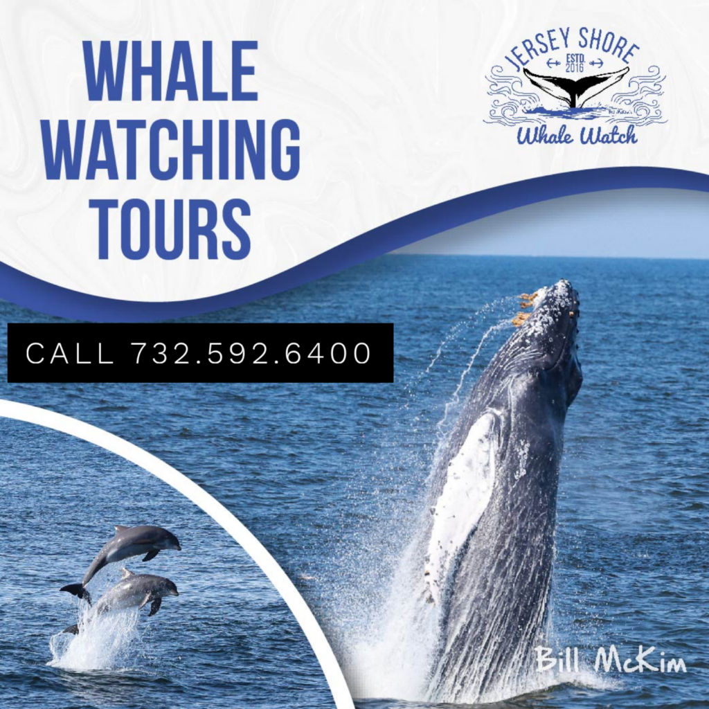 We are closer than Bar Harbor and much more affordable whale watching ...